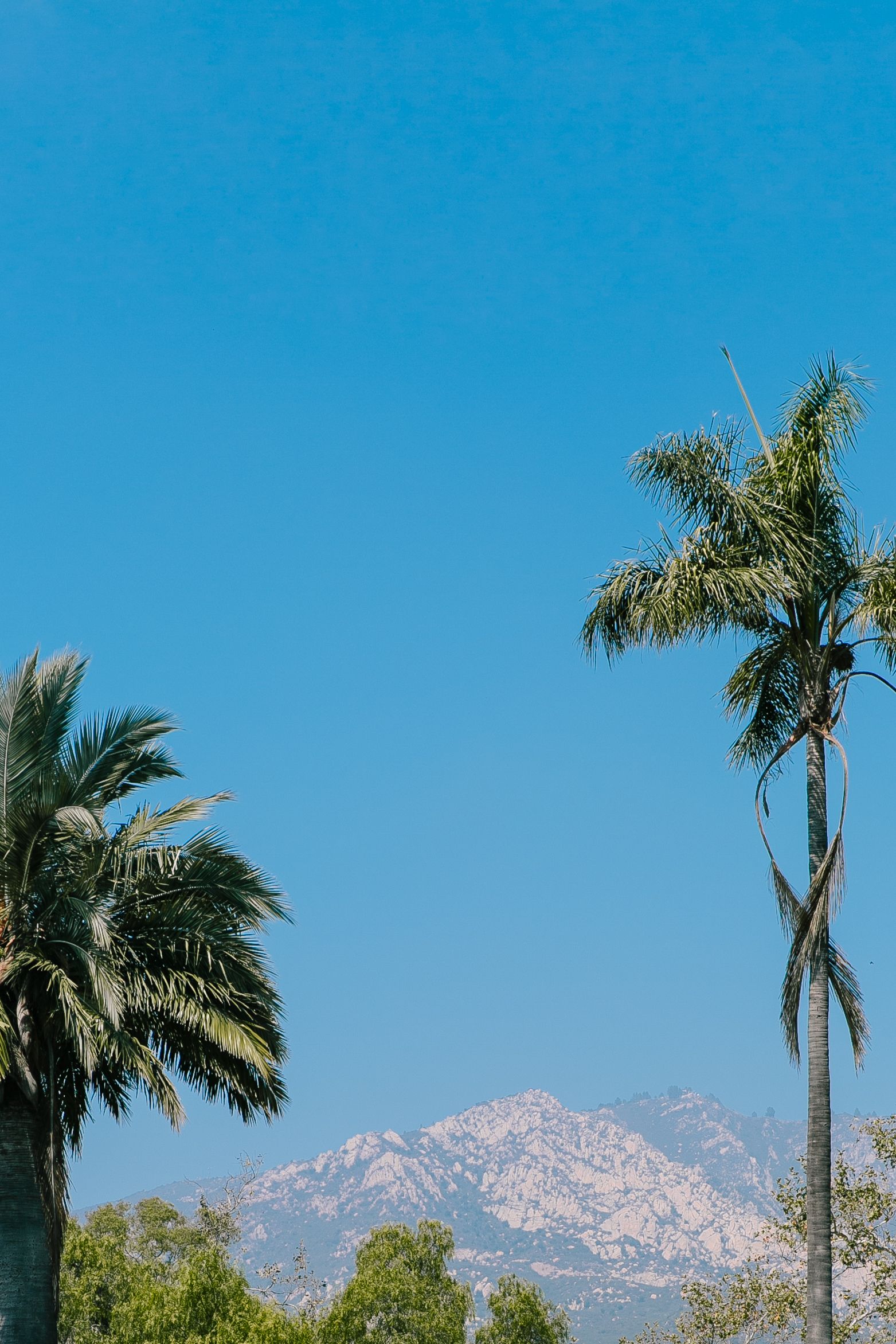 Hiking Excursion | Rosewood Miramar Beach Experiences