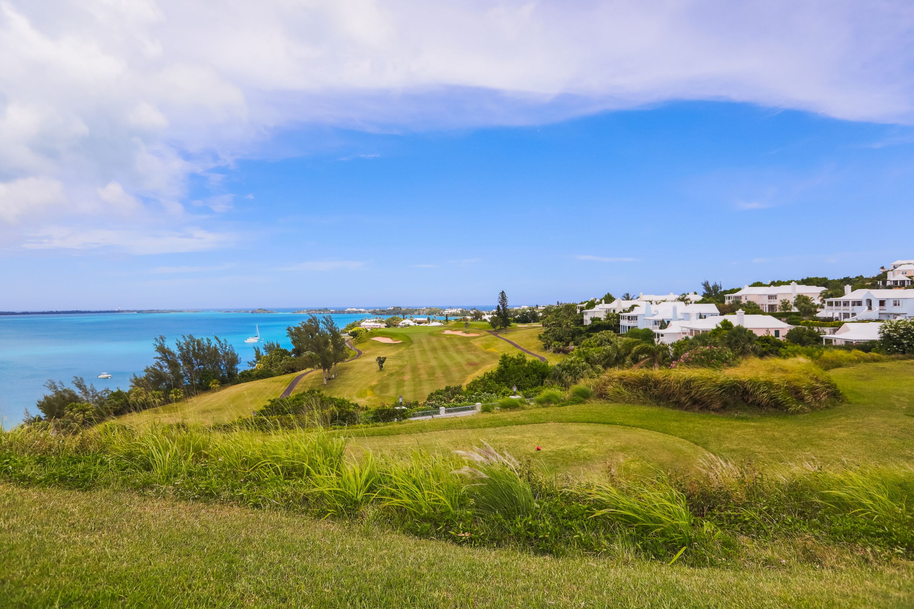 The Juniper Initiative | Bermuda Conservation