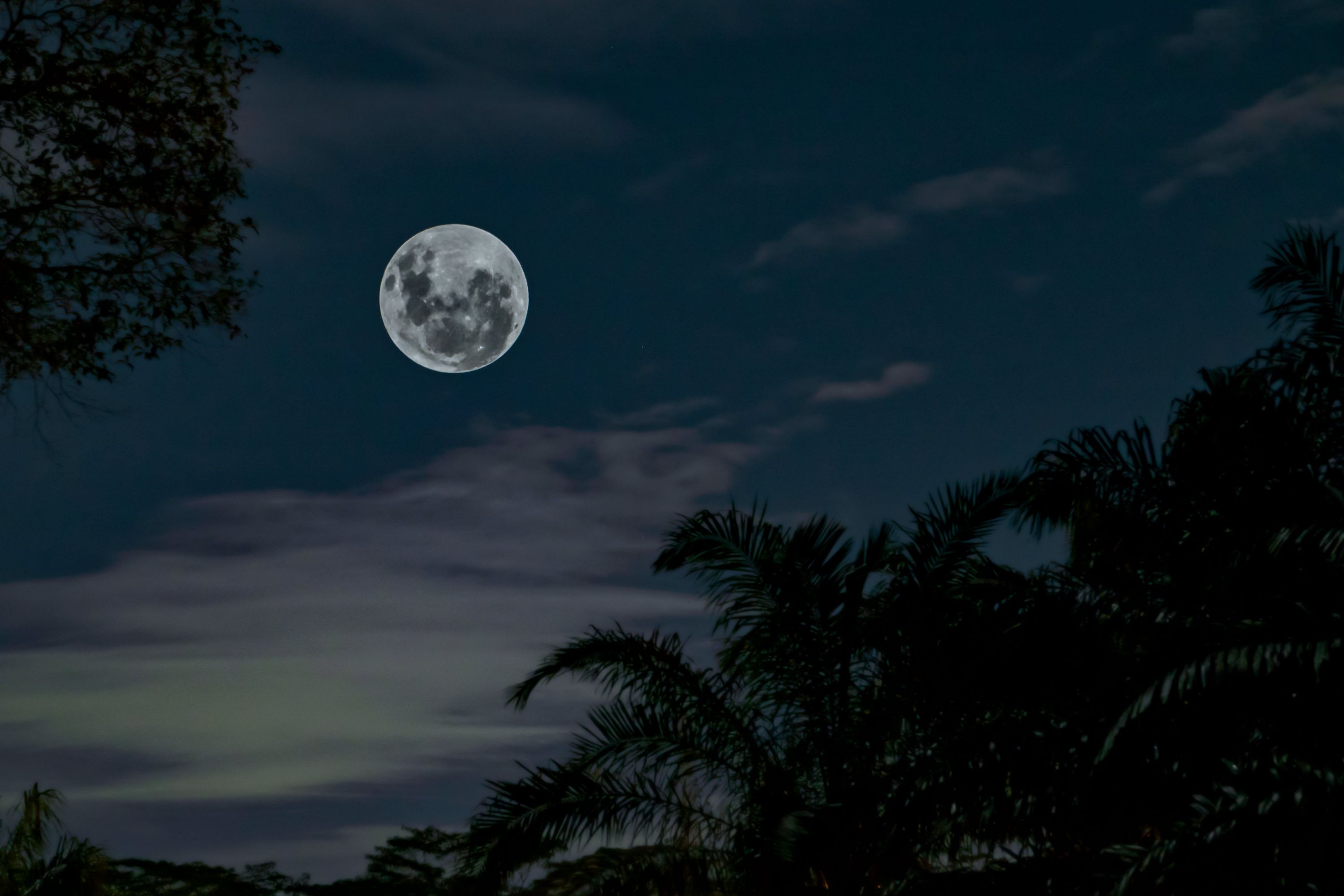 Experiences | Full Moon Yoga | Rosewood Baha Mar