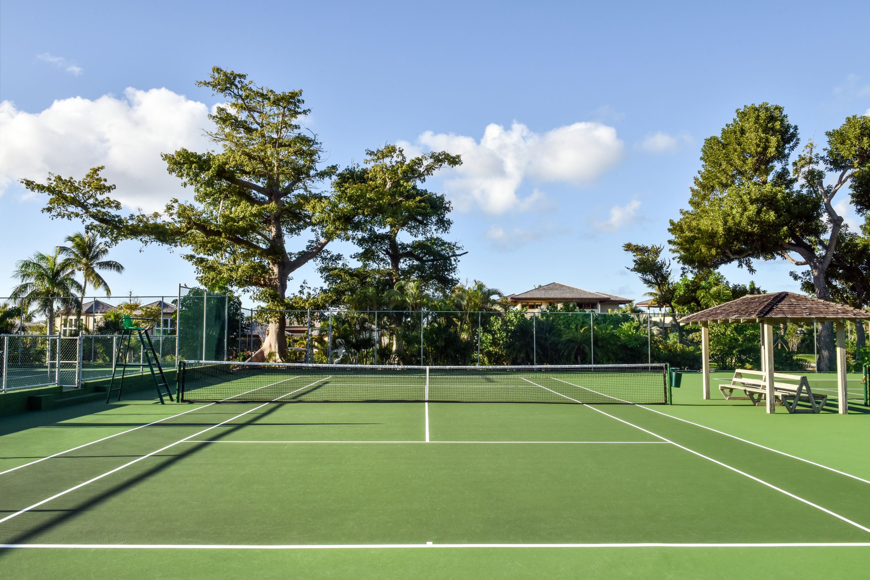 Tennis Stars Puig, Baghdatis, Mchale And King Commit To Play Inaugural ...