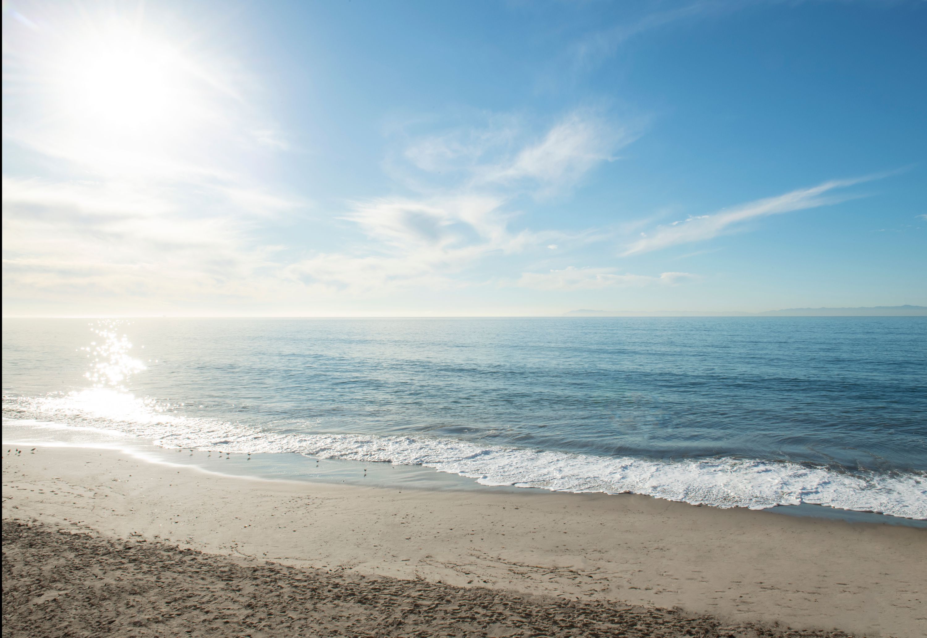 Sustainability | Montecito | Rosewood Miramar Beach