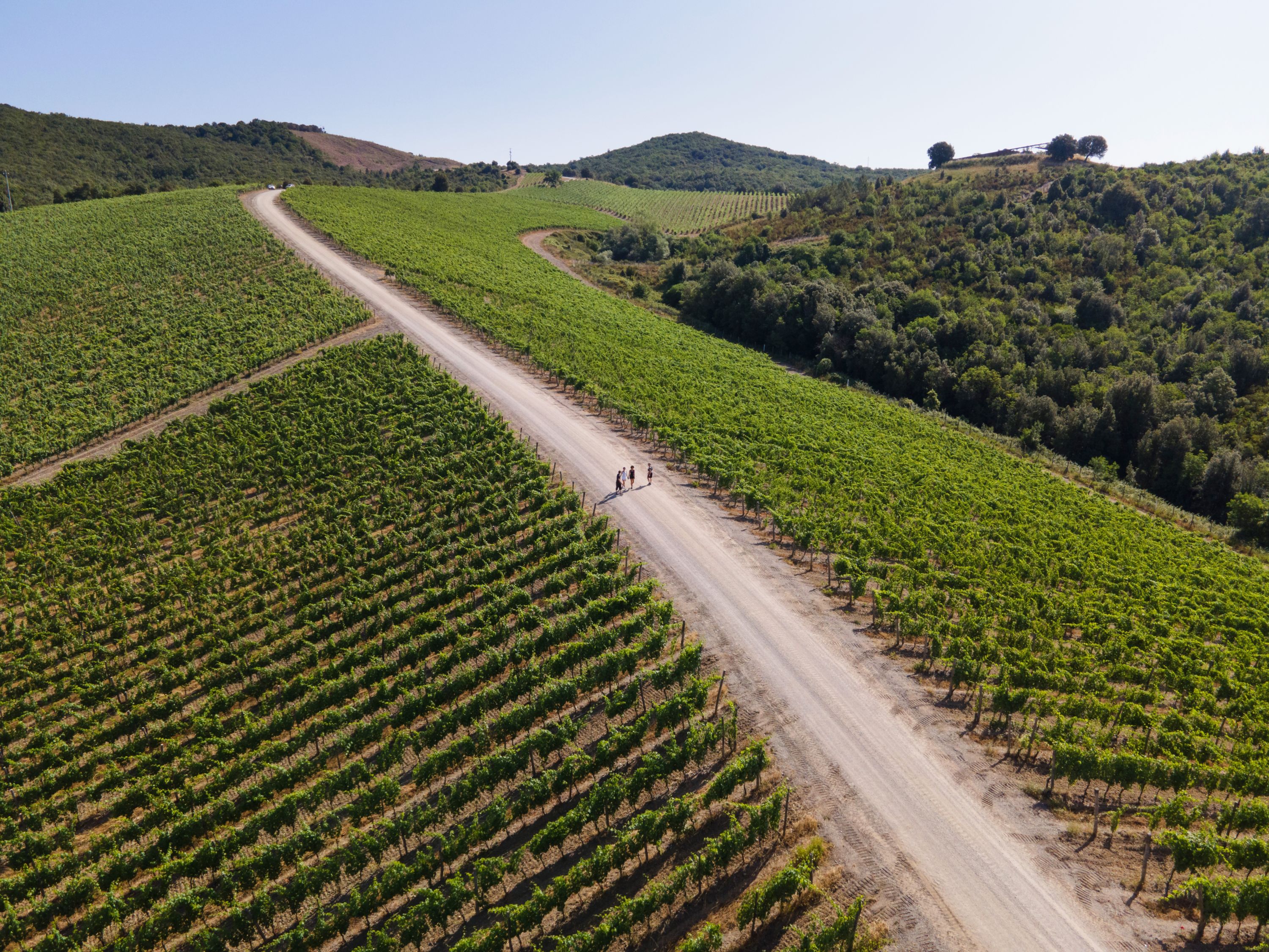 Hiking sulla Via Francigena | Rosewood Castiglion del Bosco
