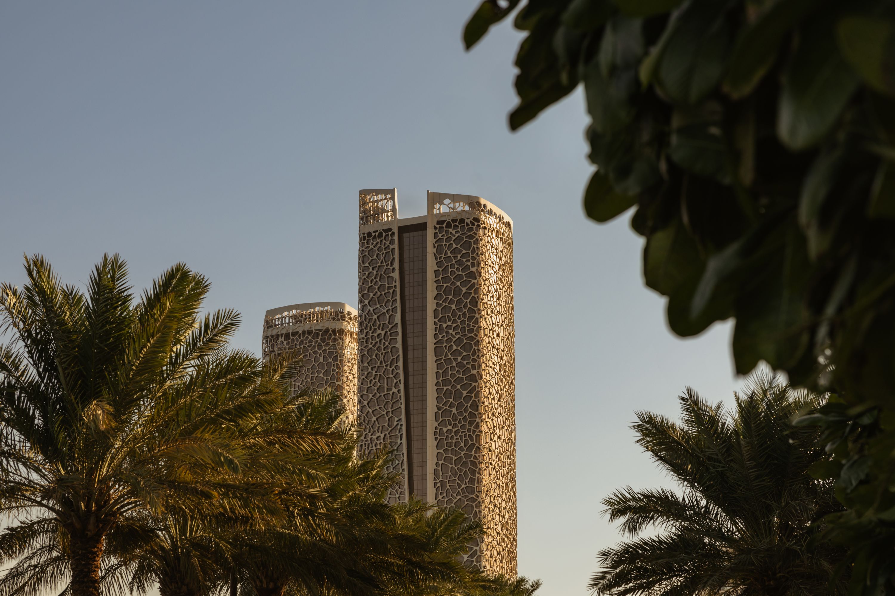 روزوود الدوحة