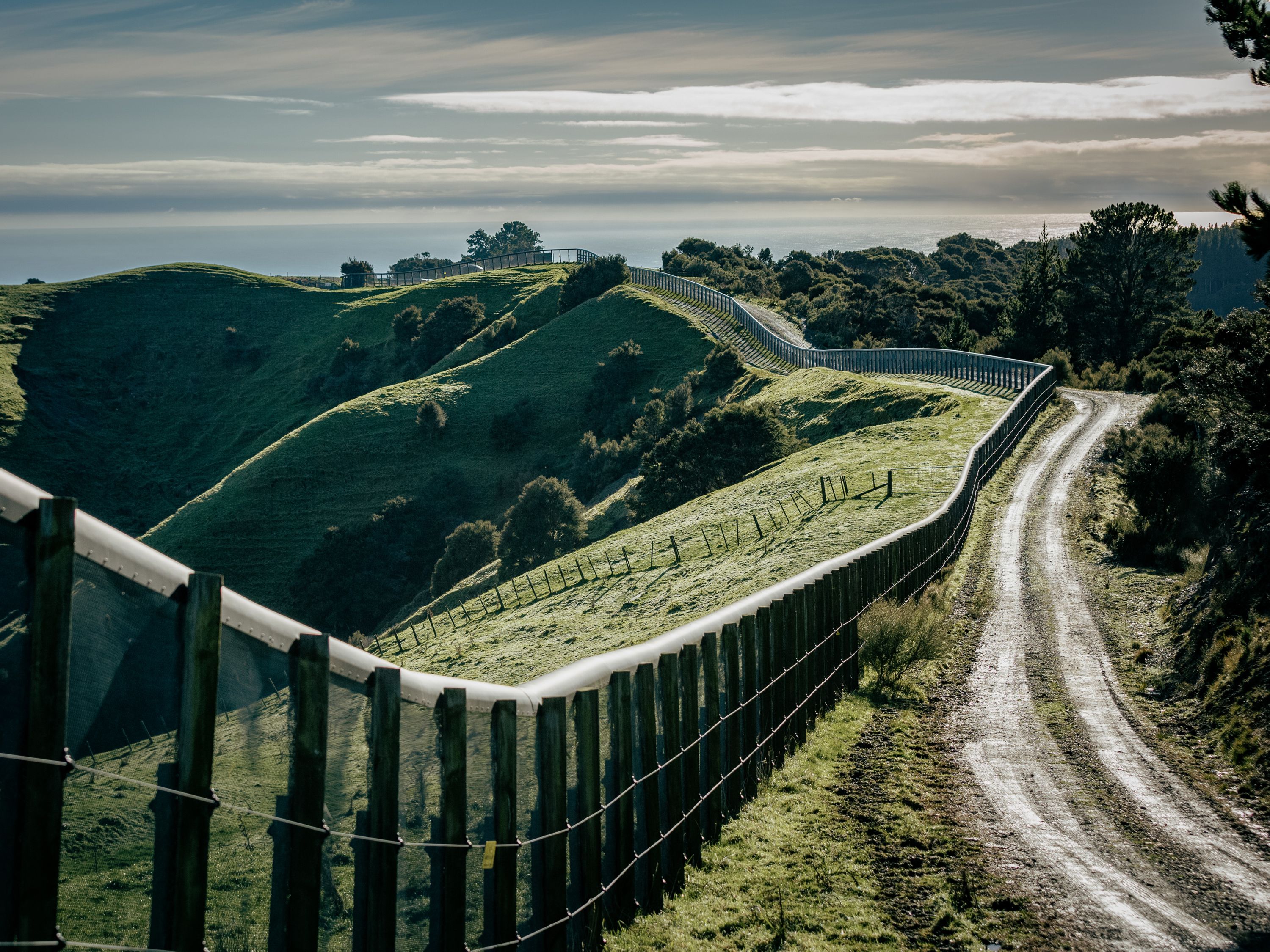 Experiences at Cape Kidnappers