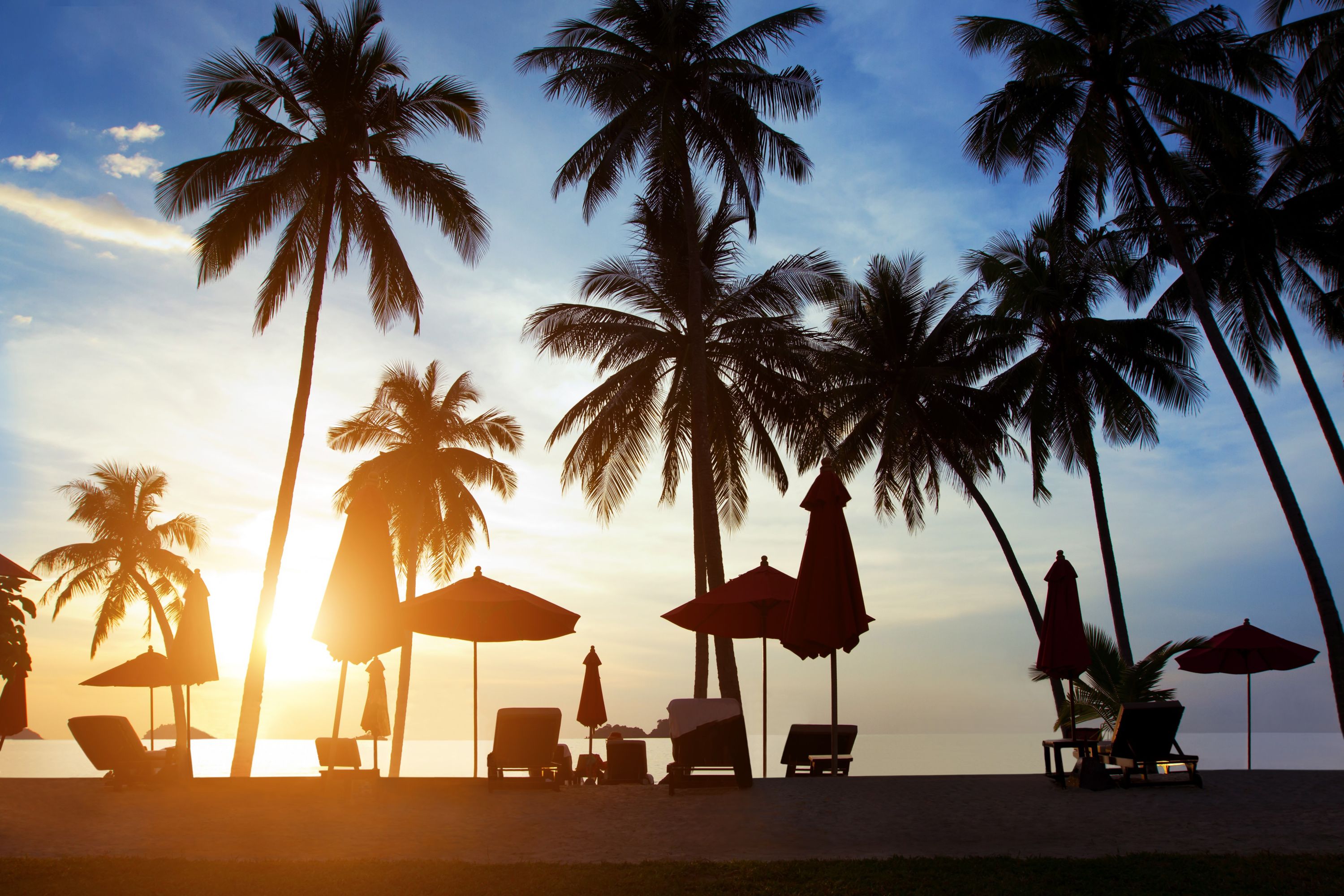 Travel with a Purpose